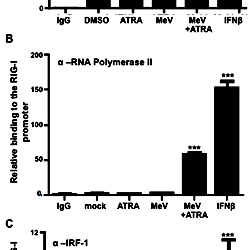 Activation of RIG-I promoter only upon combination of MeV infection and ...