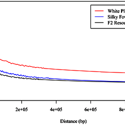 Genome-wide LD pattern of the parental breeds and the whole resource ...