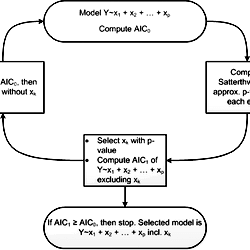 Flowchart of the model selection procedure.