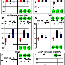 Attraction to individual HIPV, a mixture of all HIPV and mixtures ...