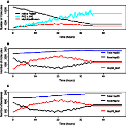 Simulation results for a continuous increase in ROS levels over time.