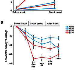 Behavior of 4 witness groups in Empathy Test.