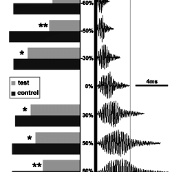Oscillographic representations of test signals used during playback ...
