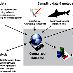 Aspects of electronic tag data processing workflow.