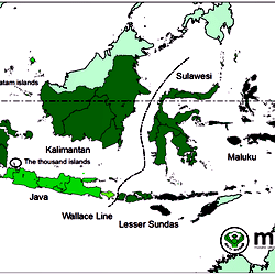 The map of Indonesian provincial administrative boundaries and their ...