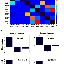 Cross-correlation matrix and behavioral regression coefficients.