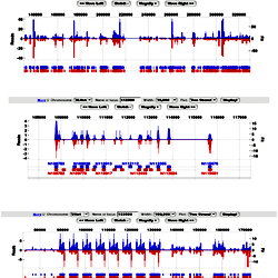 Examples of detected H2Av locations in heterochromatic regions.