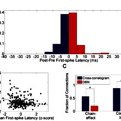 Comparison with networks inferred using cross-correlograms.