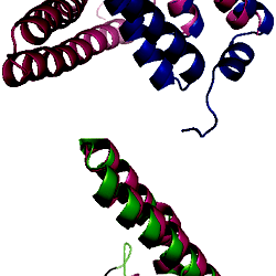 Two domains made of four long alpha helix structures, but in one of ...