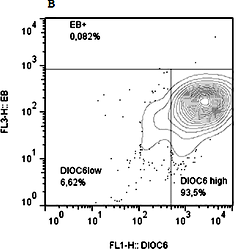 Flow cytometry strategy to determine mitochondrial and membrane damage ...
