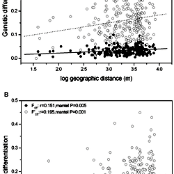 Patterns of isolation by distance and isolation by elevation in ...