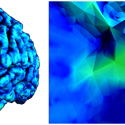 Surface area per vertex.