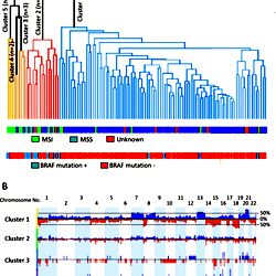 Functionally-focused algorithmic analysis of high resolution microarray ...