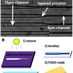 Design patterns and device fabrication process.