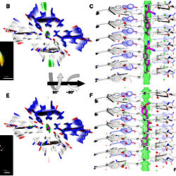 Models of DDNP and curcumin bound to the VQIVYK fiber based on ...