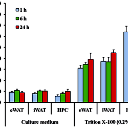 Cellular viability of primary hepatocytes and explants of epididymal ...