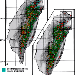 Maps of MCF conditions with (A) and without (B) the ground fog ...