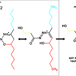 MS fragments of nocuolin A demonstrating the connection of the A/B and ...