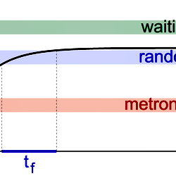Model explaining the trap behaviors.