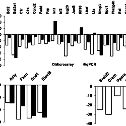 qPCR validation of microarray data.