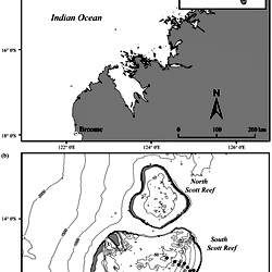 Map of sampling sites of corals collected over a large-scale depth ...