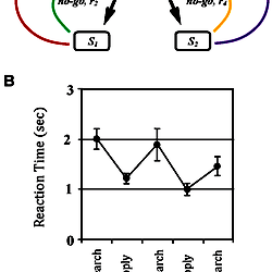 Tree representation of the reversal learning task, used in [27], and ...