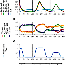 Simulation results of the model in the reversal learning task depicted ...