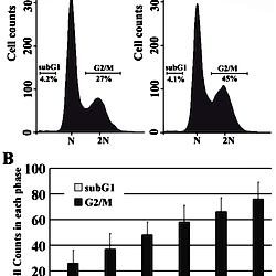 A498 cell cycle arrest in the G2/M phase after rhIL-22 exposure.