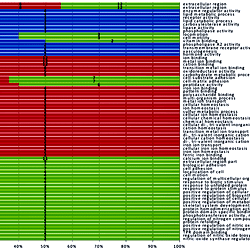 Functional genomics analysis: GO bar chart.