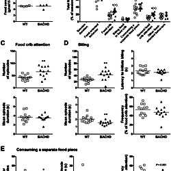 Video scoring of behavioral parameters from the standard food ...