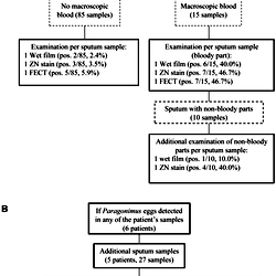 Study flow charts of the prospective investigation of the Ziehl-Neelsen ...
