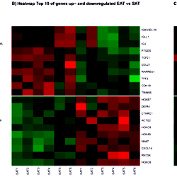 Heat map of the top 10 genes differentially up- and down-regulated for ...