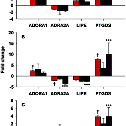 Comparison of fold changes for ADORA1, ADRA2A, LIPE, and PTGDS.