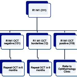 OCT clinic pathway.