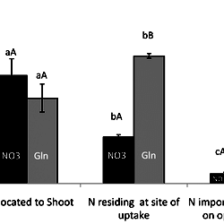 Split-root experiment with Arabidopsis thaliana.