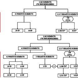 Flow chart describing the validation process.