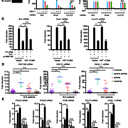 Identification of RNF185 as a new regulator in cytosolic DNA sensing ...