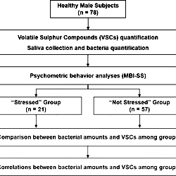 Flowchart of experimental design.