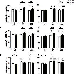 Comparison of T1 values over time.