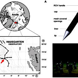 Location of the study area at the Arctic Marginal Ice Zone in the Fram ...