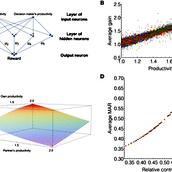 Evolution of equitable rewards made by neural networks working on a ...