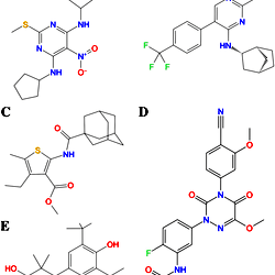 Structures of PAM cluster 1–5 representatives.