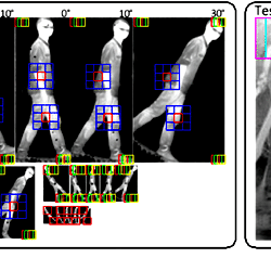 Diagram of the LSSM for human recognition.