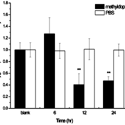 ROS level in haemocytes of scallops at 6, 12 and 24 h after the ...