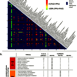 Metabolic flexibility of pathway pairs in PAO and PPU.