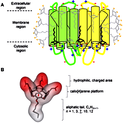 Concept of salt bridge network between anionic and amphiphilic ...