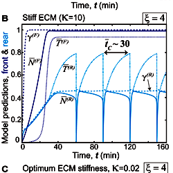 Variation of subcellular mechanisms with ECM stiffness for cells with ...