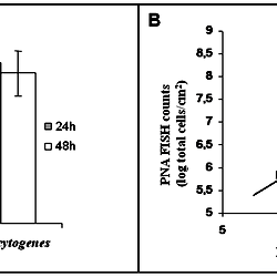 PNA FISH validation for biofilm samples.