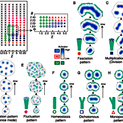 SAM patterns generated by the model.