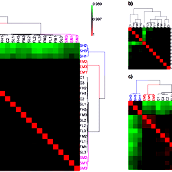 The hierarchical clustering analysis and heatmap of the correlation ...